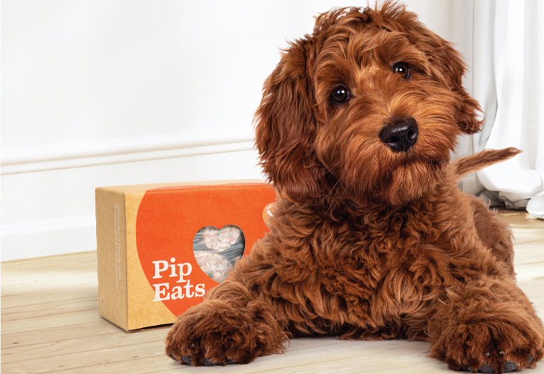 Earn 1 Of 5 Pip Eats Dog Food Packs (3-Month Supply!) | Best Pet Buys